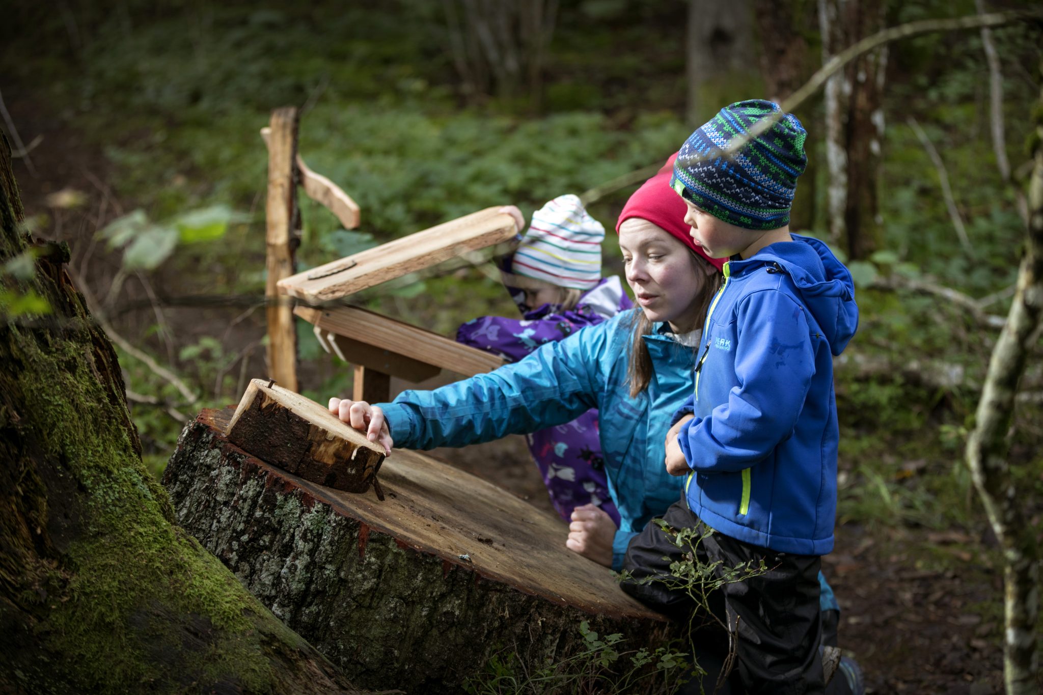 Trollstigen - Billingens stugby & camping
